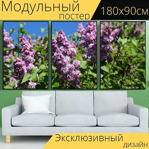 Модульный постер "Сад, цветение, цветочный" 180 x 90 см. для интерьера