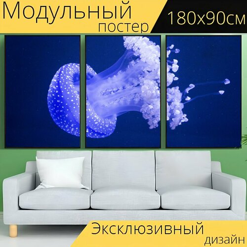 Модульный постер "Медуза, франция, вода" 180 x 90 см. для интерьера