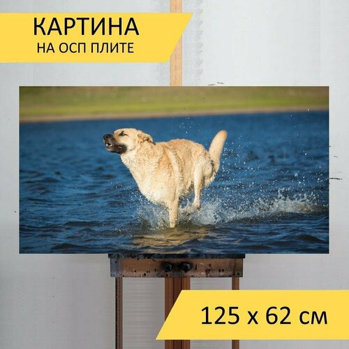 Картина на ОСП 125х62 см. "Собака, вода, запустить" горизонтальная, для интерьера, с креплениями