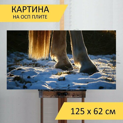 Картина на ОСП 125х62 см. "Лошадь, снег, копыта" горизонтальная, для интерьера, с креплениями