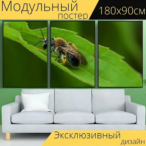 Модульный постер "Пчела, дикая пчела, насекомое" 180 x 90 см. для интерьера