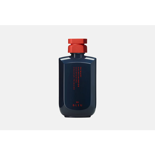 Шампунь для окрашенных волос 'Искусство цвета' R+Co BLEU, PRIMARY COLOR SHAMPOO 251шт