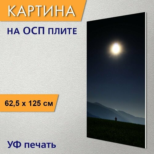 Вертикальная картина на ОСП "Ночь, звезды, луна" 62x125 см. для интерьериа