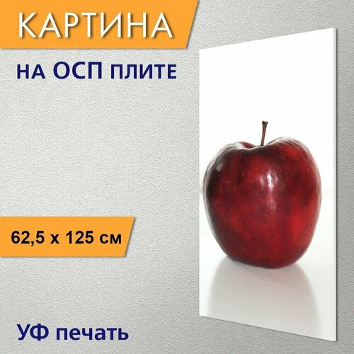 Вертикальная картина на ОСП "Яблоко, семечковые фрукты, фрукты" 62x125 см. для интерьериа