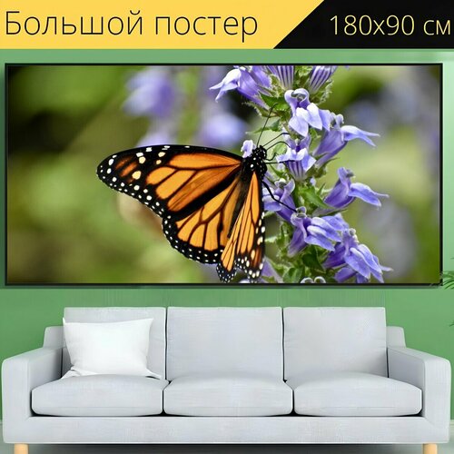 Большой постер "Бабочка монарх, апельсин, насекомое" 180 x 90 см. для интерьера