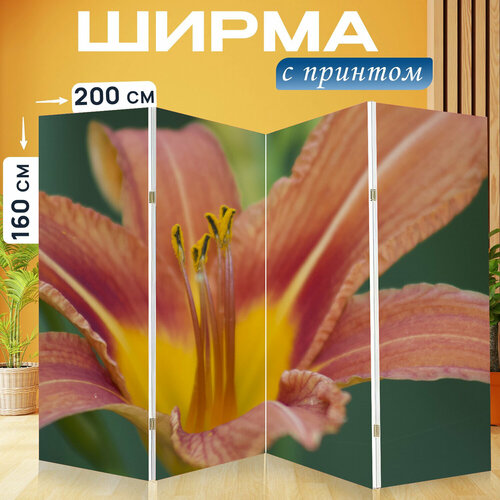 Ширма перегородка с принтом "Дикая тигровая лилия, цветок, летом" на холсте - 200x160 см. для зонирования, раскладная