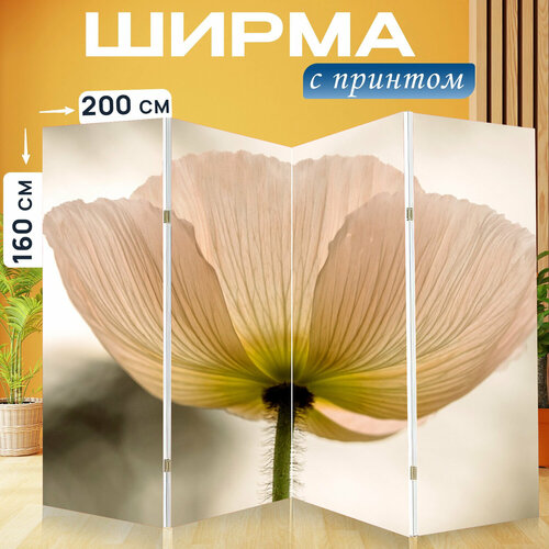 Ширма перегородка с принтом "Мак, цветок, природа" на холсте - 200x160 см. для зонирования, раскладная