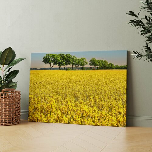 Картина на холсте "Поле желтых цветов с деревьями на заднем плане" 60x80 см. Интерьерная, на стену.