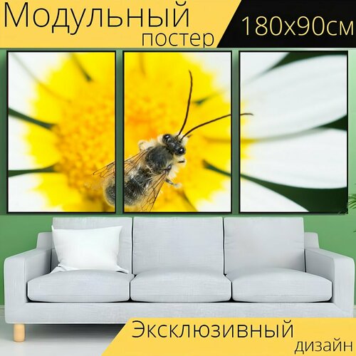 Модульный постер "Пчела, цветок, желтый" 180 x 90 см. для интерьера