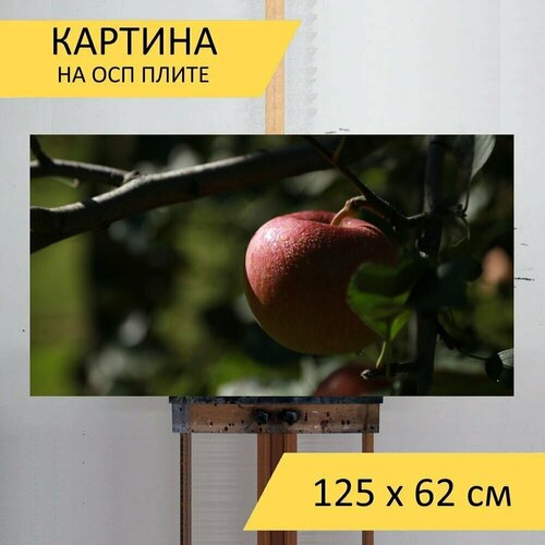 Картина на ОСП 125х62 см. "Извиняться, яблоня, фрукты" горизонтальная, для интерьера, с креплениями