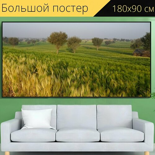 Большой постер "Выращивание, пшеница, сельское хозяйство" 180 x 90 см. для интерьера