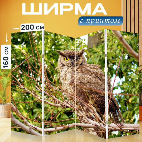 Ширма перегородка с принтом "Сова, птица, дерево" на холсте - 200x160 см. для зонирования, раскладная