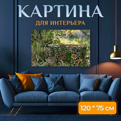 Картина на холсте "Пень, грибы, лес" на подрамнике 120х75 см. для интерьера