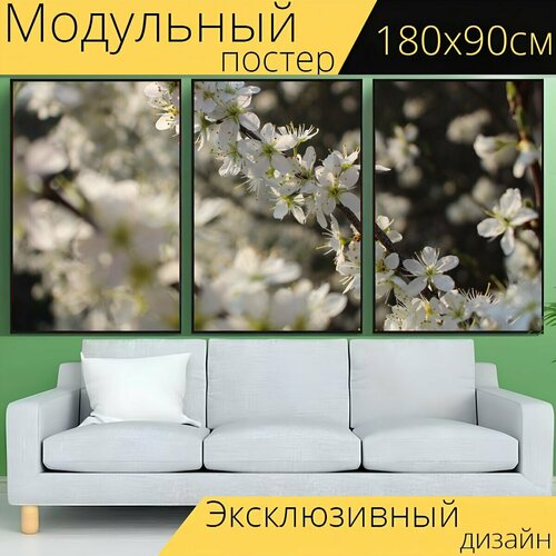 Модульный постер "Флора, природа, весна" 180 x 90 см. для интерьера