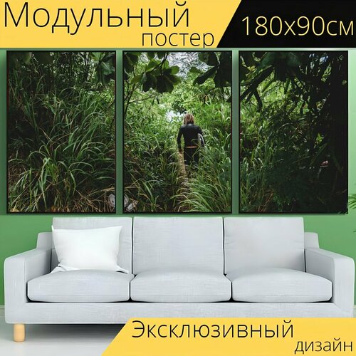 Модульный постер "Дорожка, тропический, джунгли" 180 x 90 см. для интерьера