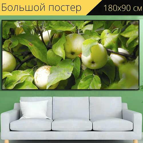 Большой постер "Яблоки, фрукты, дерево" 180 x 90 см. для интерьера