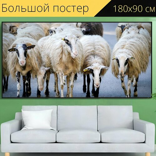 Большой постер "Овец, стадо овец, дорога" 180 x 90 см. для интерьера