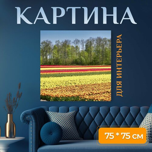 Картина на холсте "Тюльпаны, красочный, поле" на подрамнике 75х75 см. для интерьера
