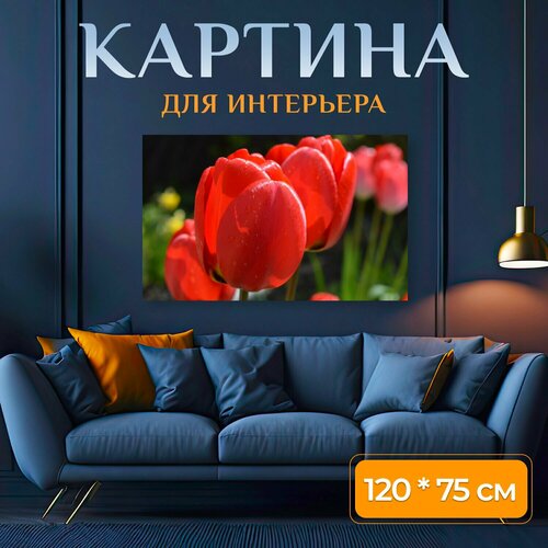 Картина на холсте "Тюльпаны, красный, сад" на подрамнике 120х75 см. для интерьера