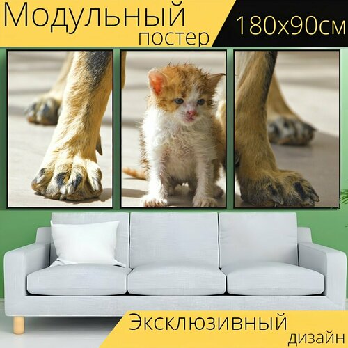 Модульный постер "Кошка, собака, домашний питомец" 180 x 90 см. для интерьера