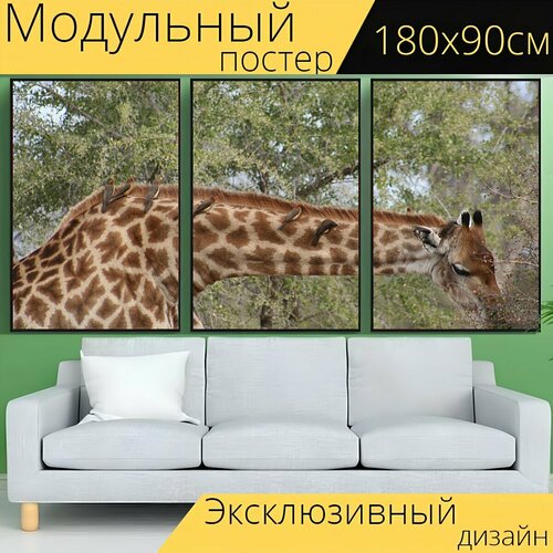 Модульный постер "Жирафа, животное, африка" 180 x 90 см. для интерьера