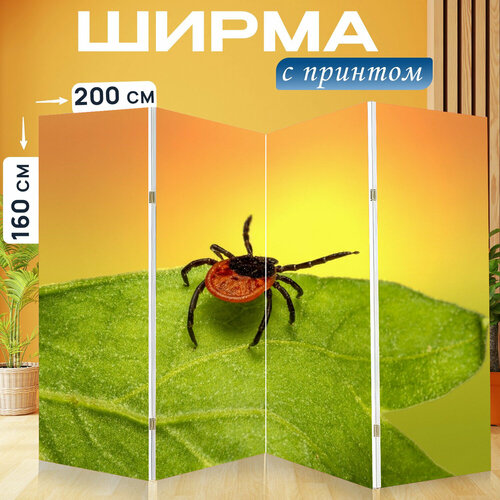 Ширма перегородка с принтом "Поставить галочку, насекомое, лист" на холсте - 200x160 см. для зонирования, раскладная