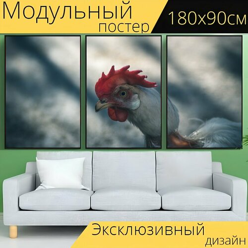 Модульный постер "Курица, животное, птица" 180 x 90 см. для интерьера
