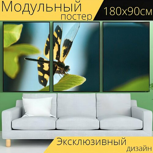 Модульный постер "Стрекоза, жук, насекомое" 180 x 90 см. для интерьера