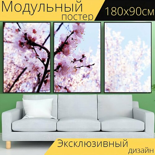 Модульный постер "Цветение сливы, цветы, весна" 180 x 90 см. для интерьера