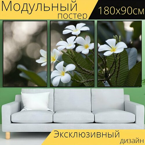 Модульный постер "Цветы, белые цветки, листья" 180 x 90 см. для интерьера