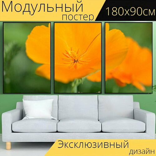Модульный постер "Цветок, летом, апельсин" 180 x 90 см. для интерьера
