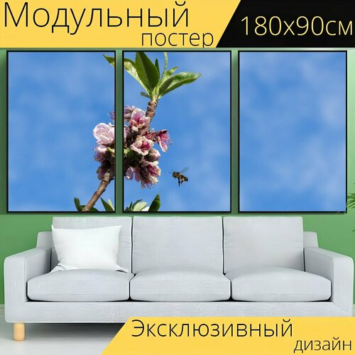 Модульный постер "Пчела, опылении, цветок" 180 x 90 см. для интерьера