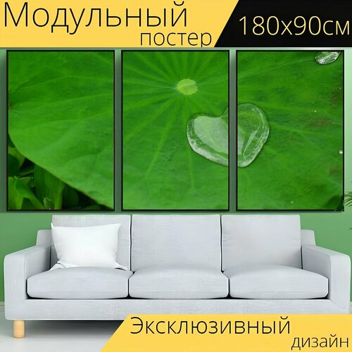 Модульный постер "Листьев лотоса, завод, водное растение" 180 x 90 см. для интерьера