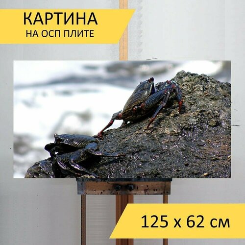 Картина на ОСП 125х62 см. "Крабы, краб, океан" горизонтальная, для интерьера, с креплениями