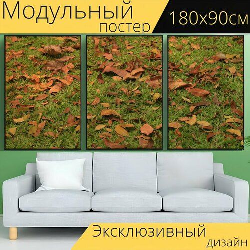 Модульный постер "Листья, парк, сушеные листья" 180 x 90 см. для интерьера