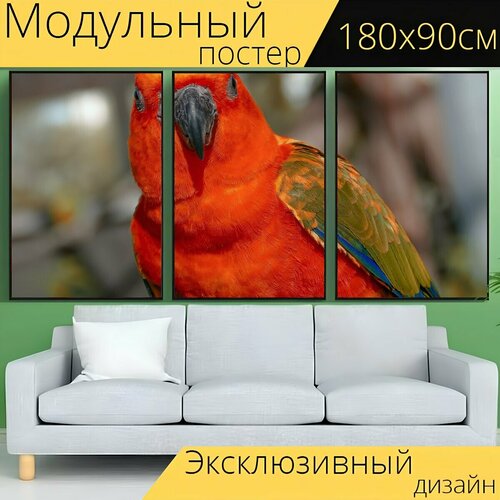Модульный постер "Попугай, птица, животное" 180 x 90 см. для интерьера
