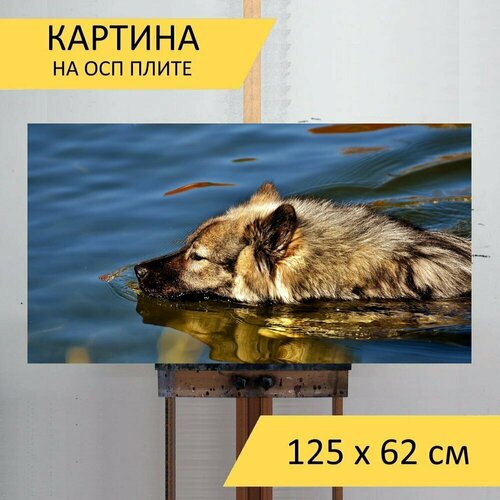 Картина на ОСП 125х62 см. "Евразиец, плавать, собака" горизонтальная, для интерьера, с креплениями