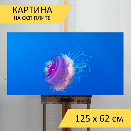 Картина на ОСП 125х62 см. "Дикой природы, медуза, рыбы" горизонтальная, для интерьера, с креплениями