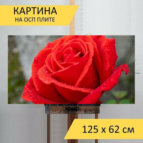 Картина на ОСП 125х62 см. "Красная роза, капля дождя, романтичный" горизонтальная, для интерьера, с креплениями