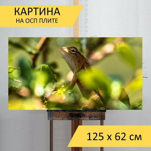 Картина на ОСП 125х62 см. "Хамелеон, животное, ящерица" горизонтальная, для интерьера, с креплениями