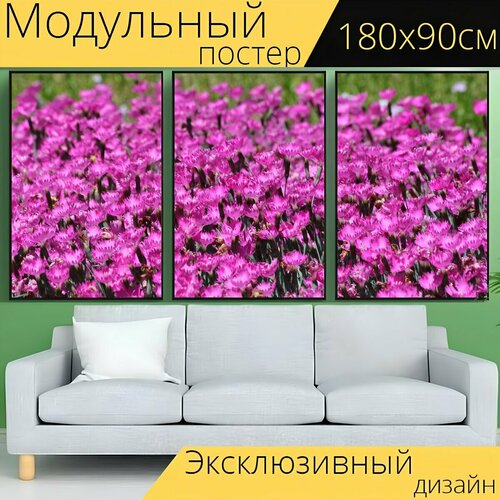 Модульный постер "Весна, розовые цветы, лепестки" 180 x 90 см. для интерьера