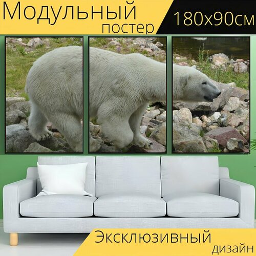 Модульный постер "Полярный медведь, природа, животное" 180 x 90 см. для интерьера
