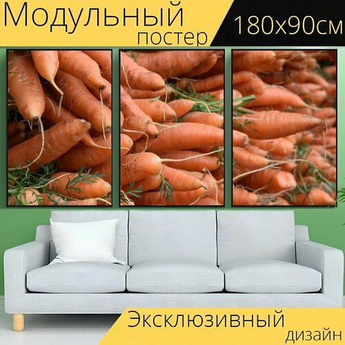 Модульный постер "Овощи, морковь" 180 x 90 см. для интерьера