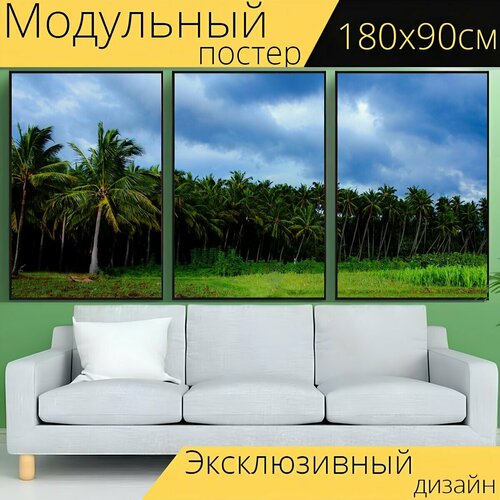 Модульный постер "Природа, первого мая, кокосовые пальмы" 180 x 90 см. для интерьера