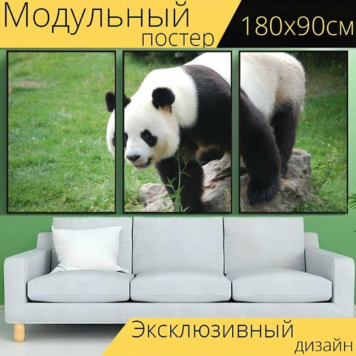 Модульный постер "Панда, зоопарк, млекопитающие" 180 x 90 см. для интерьера