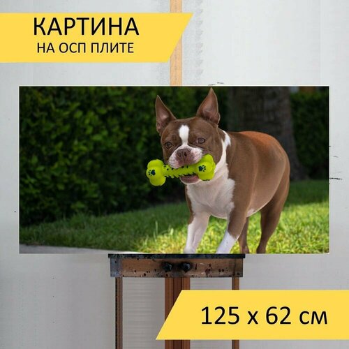 Картина на ОСП 125х62 см. "Собака, домашний питомец, играющий" горизонтальная, для интерьера, с креплениями
