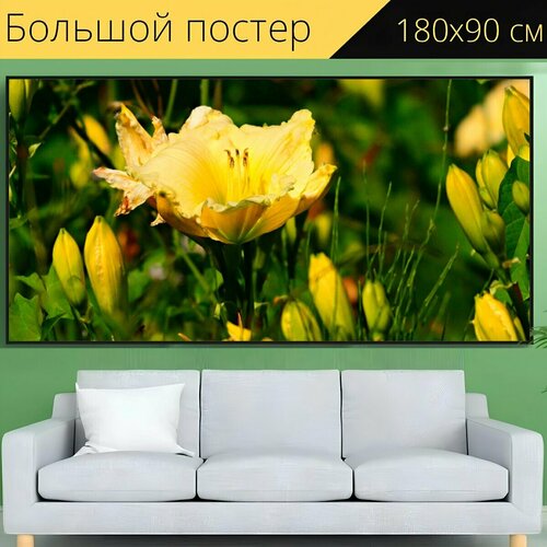 Большой постер "Желтая лилия, цветок, завод" 180 x 90 см. для интерьера