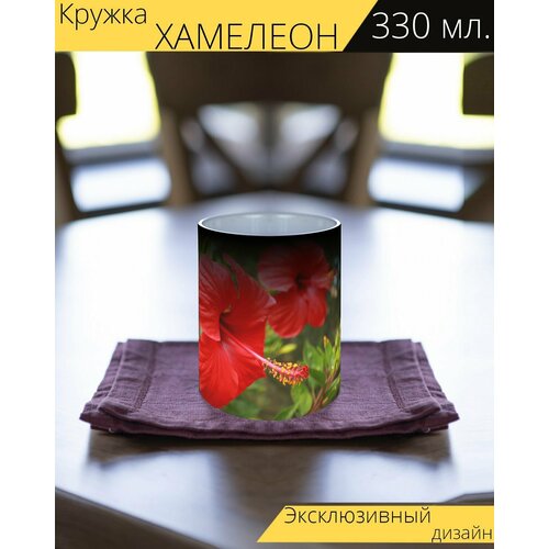 Кружка хамелеон с принтом "Гибискус, красный цветок, завод" 330 мл.