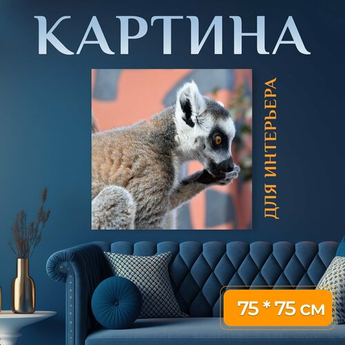 Картина на холсте "Лемур, животное, природа" на подрамнике 75х75 см. для интерьера