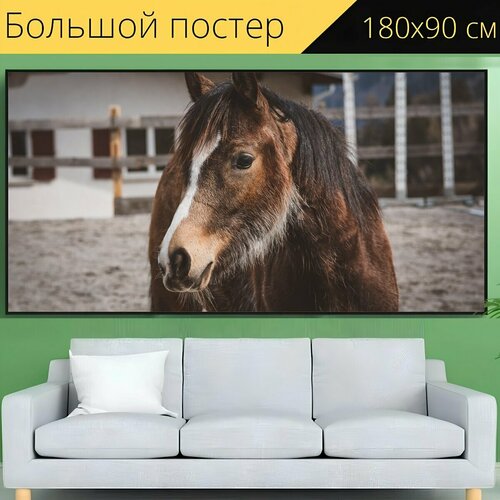 Большой постер "Жеребенок, пони, лошадь" 180 x 90 см. для интерьера